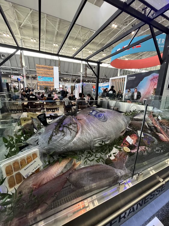 GBFB to the Rescue: Tackling Food Waste | GBFB